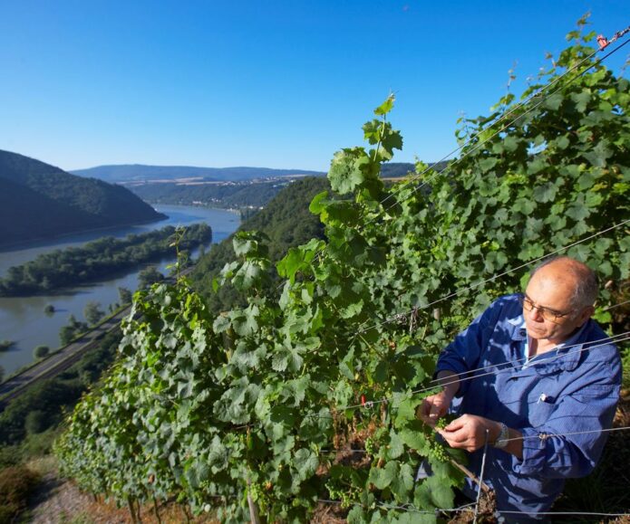 Weingut – Weingut Toni Jost